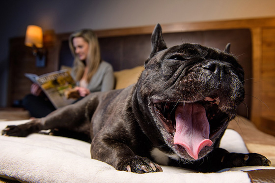 PhotoServe Interview – Commercial Photographer | Steve Tague